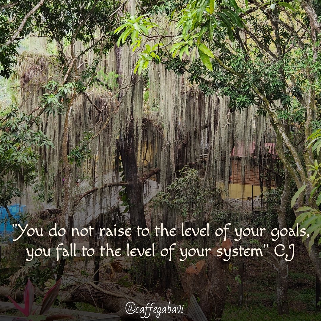 Build a strong system that supports you in any goal – Agile ...